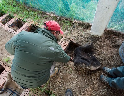 Waterkloof Wine Estate: a spectacular biodynamic South African wine ...