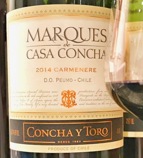 Marques de Casa Concha: A Tour of Chile’s Wine Regions Courtesy of ...