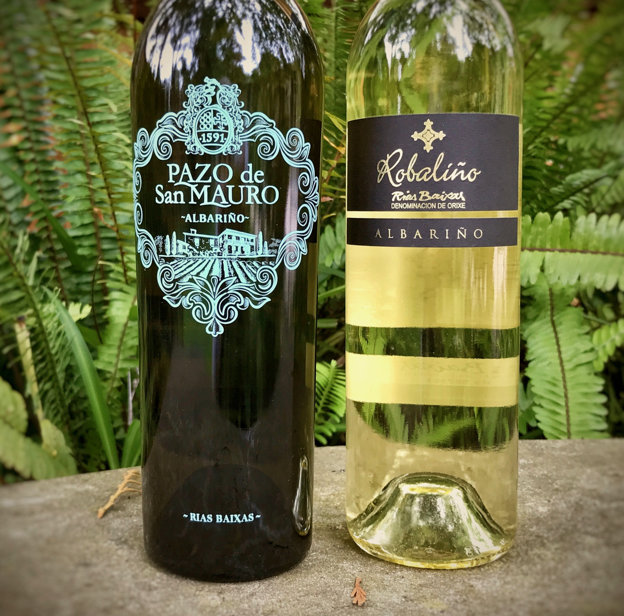 Albariño from Rías Baixas: Perfect for Summer Sipping – Pull That Cork