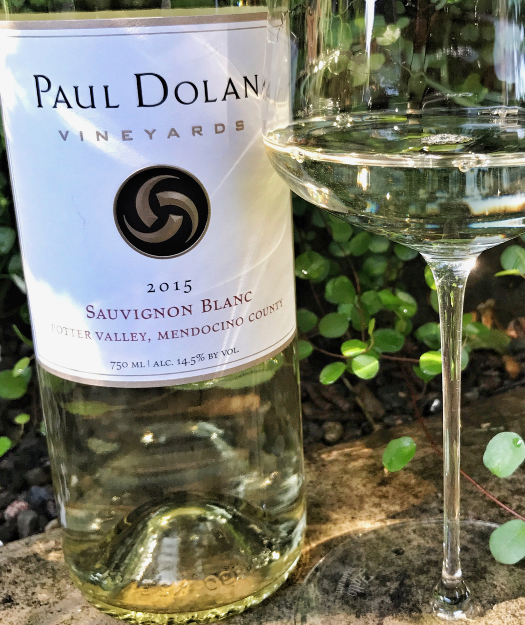 Paul Dolan Vineyards Sauvignon Blanc, Zinfandel & Cabernet Sauvignon ...