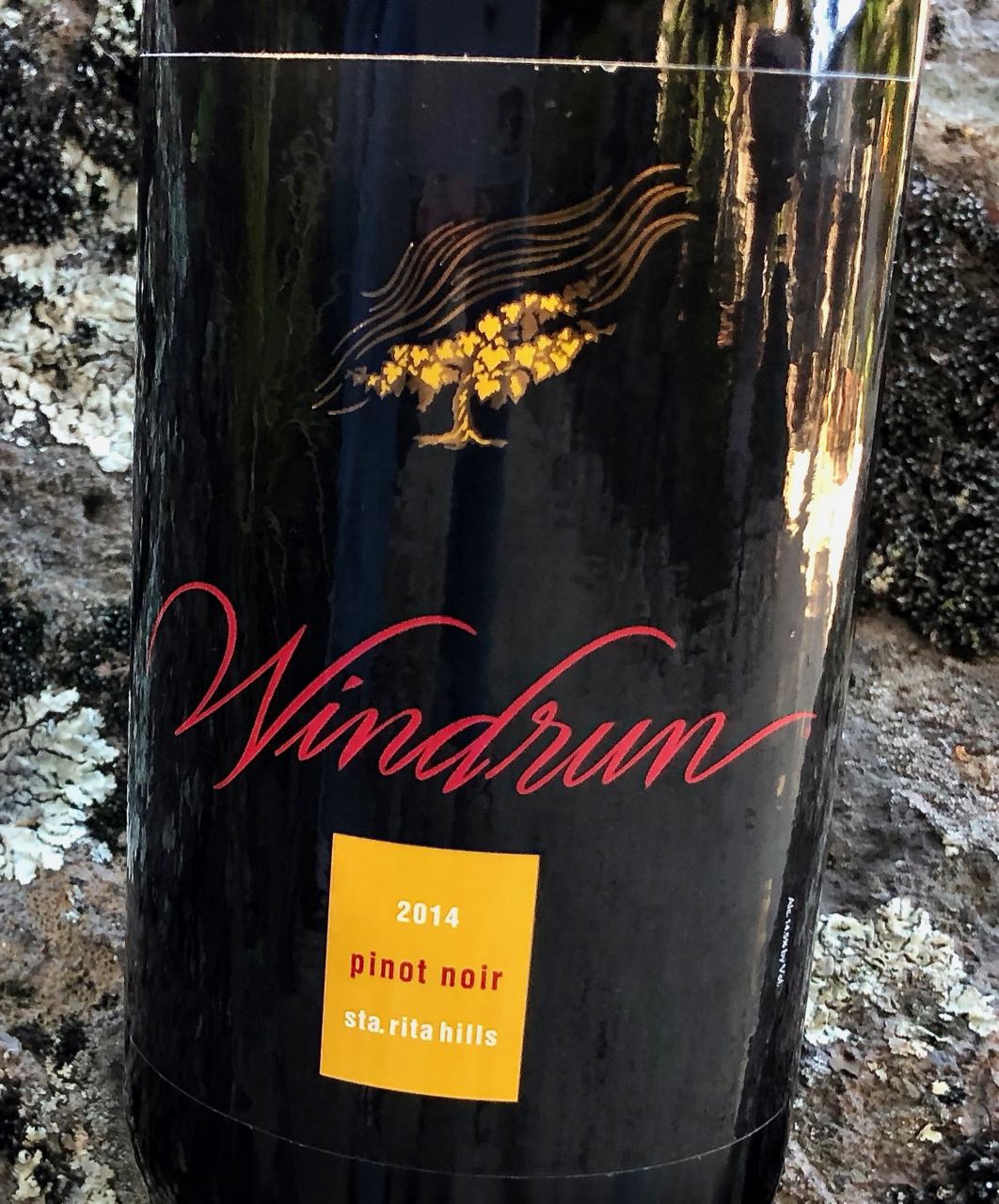 Windrun Pinot Noir – Pull That Cork