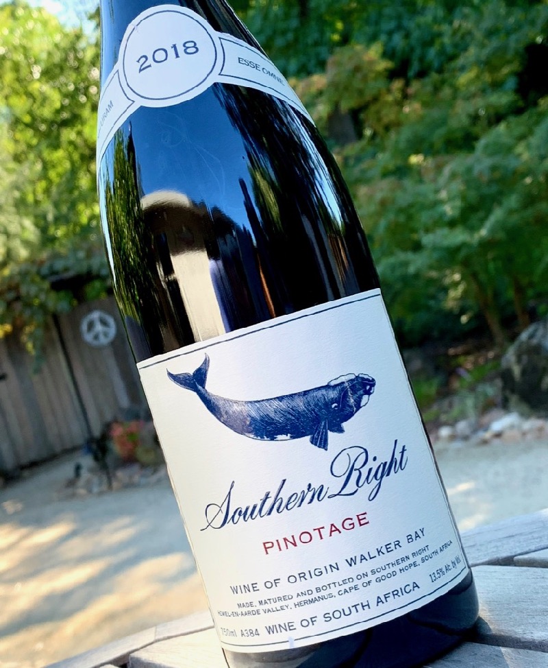 Pinotage Day: A Celebration of South Africa’s Own Grape Variety – Pull ...