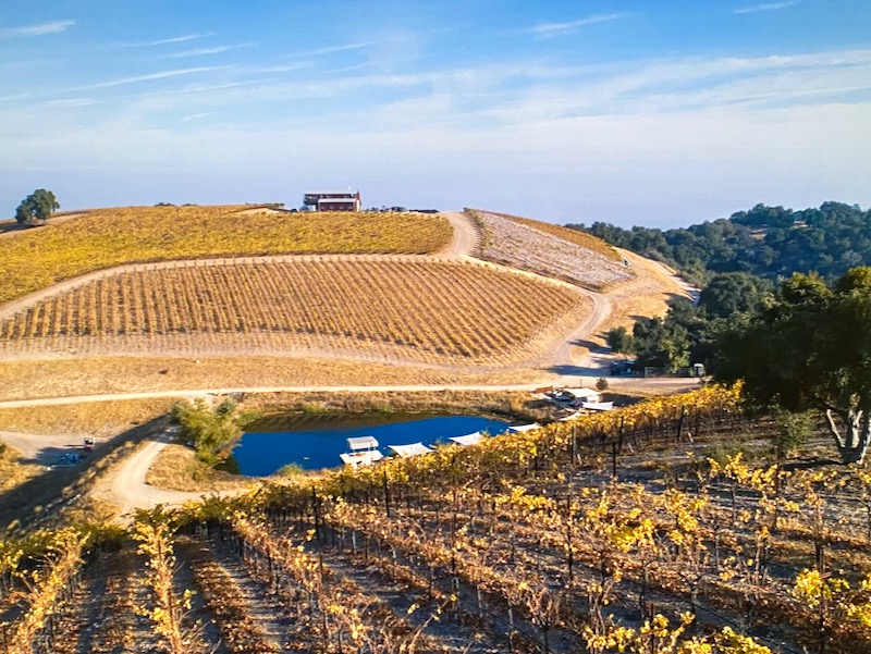 Alta Colina: Rhone Specialists in Paso’s Adelaida District – Pull That Cork