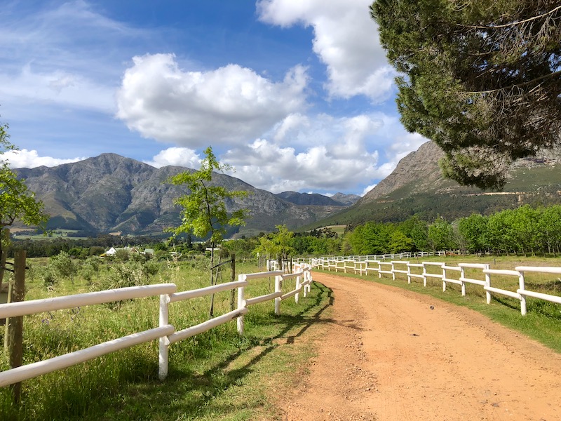 Celebrating Memories with Colmant Cap Classique – Pull That Cork