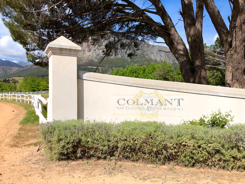 Celebrating Memories with Colmant Cap Classique – Pull That Cork