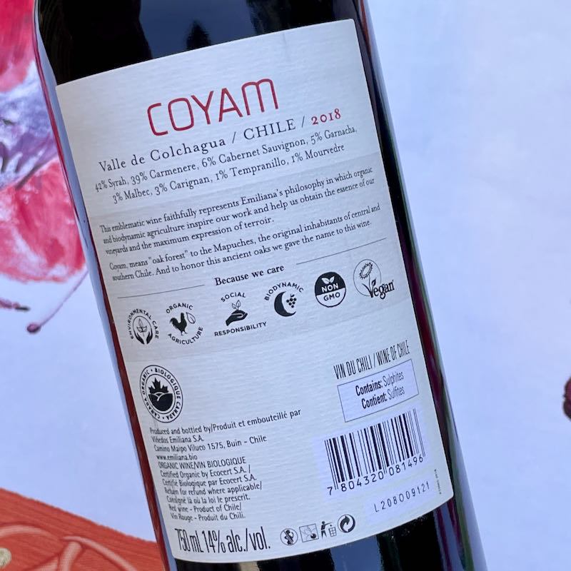 Six Wines That Highlight Chile’s Sustainability Efforts – Pull That Cork