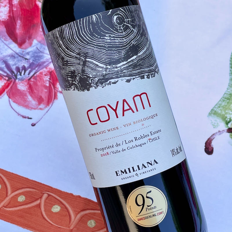 Six Wines That Highlight Chile’s Sustainability Efforts – Pull That Cork