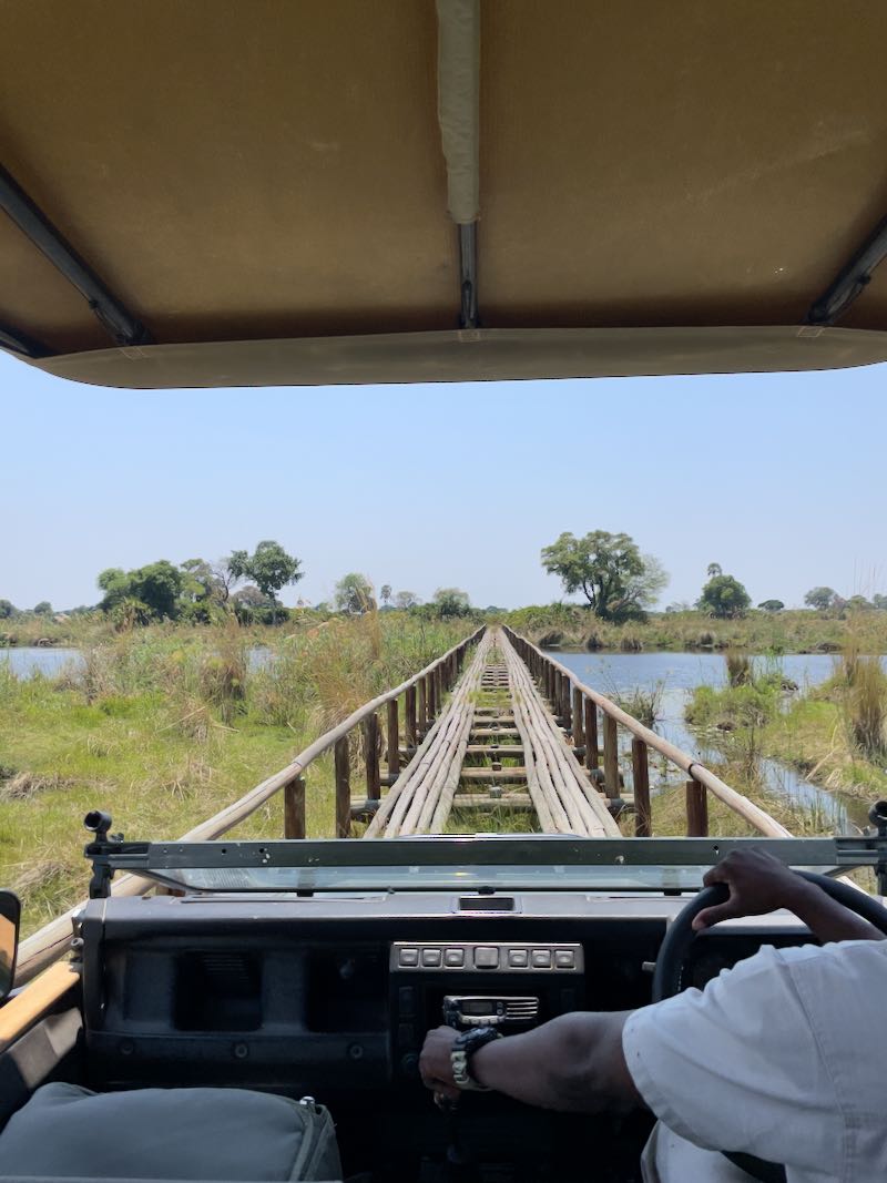Jacana Camp: An Island Oasis in Botswana's Okavango Delta – Pull That Cork