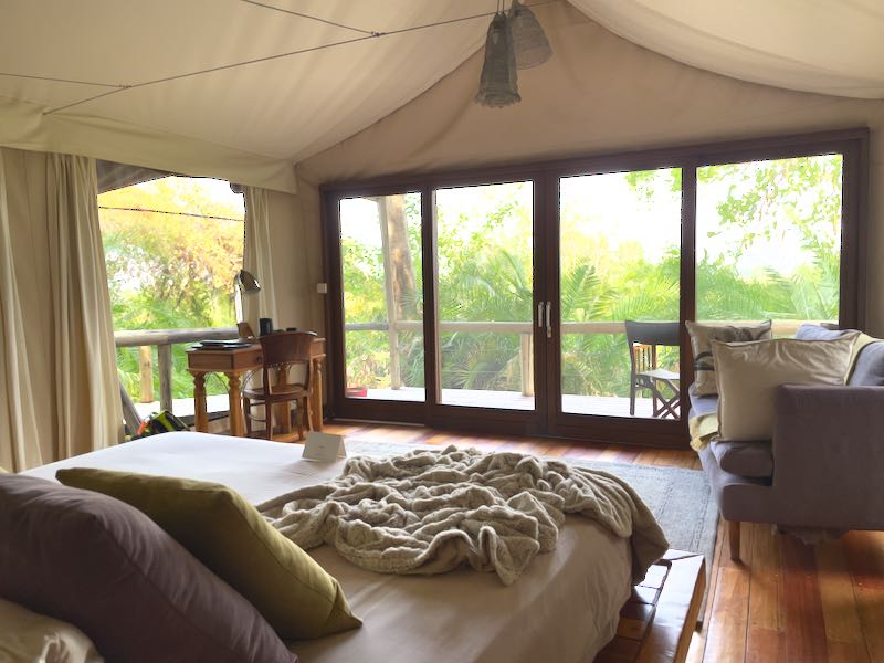 Jacana Camp: An Island Oasis in Botswana's Okavango Delta – Pull That Cork
