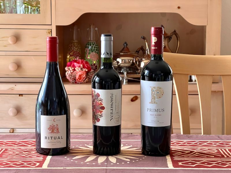 Three Affordable Wines from Chile — And They're Organic – Pull That Cork