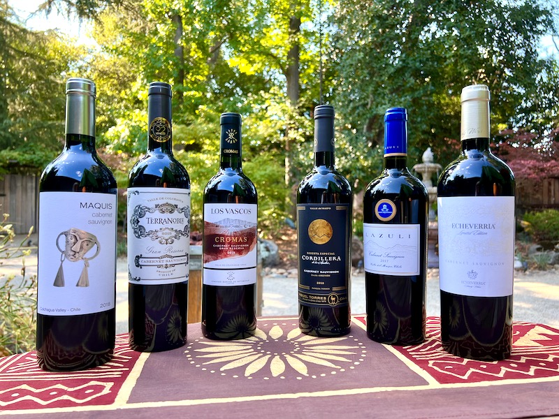 Cabernet Sauvignon in Chile: A Taste of Two Regions – Pull That Cork